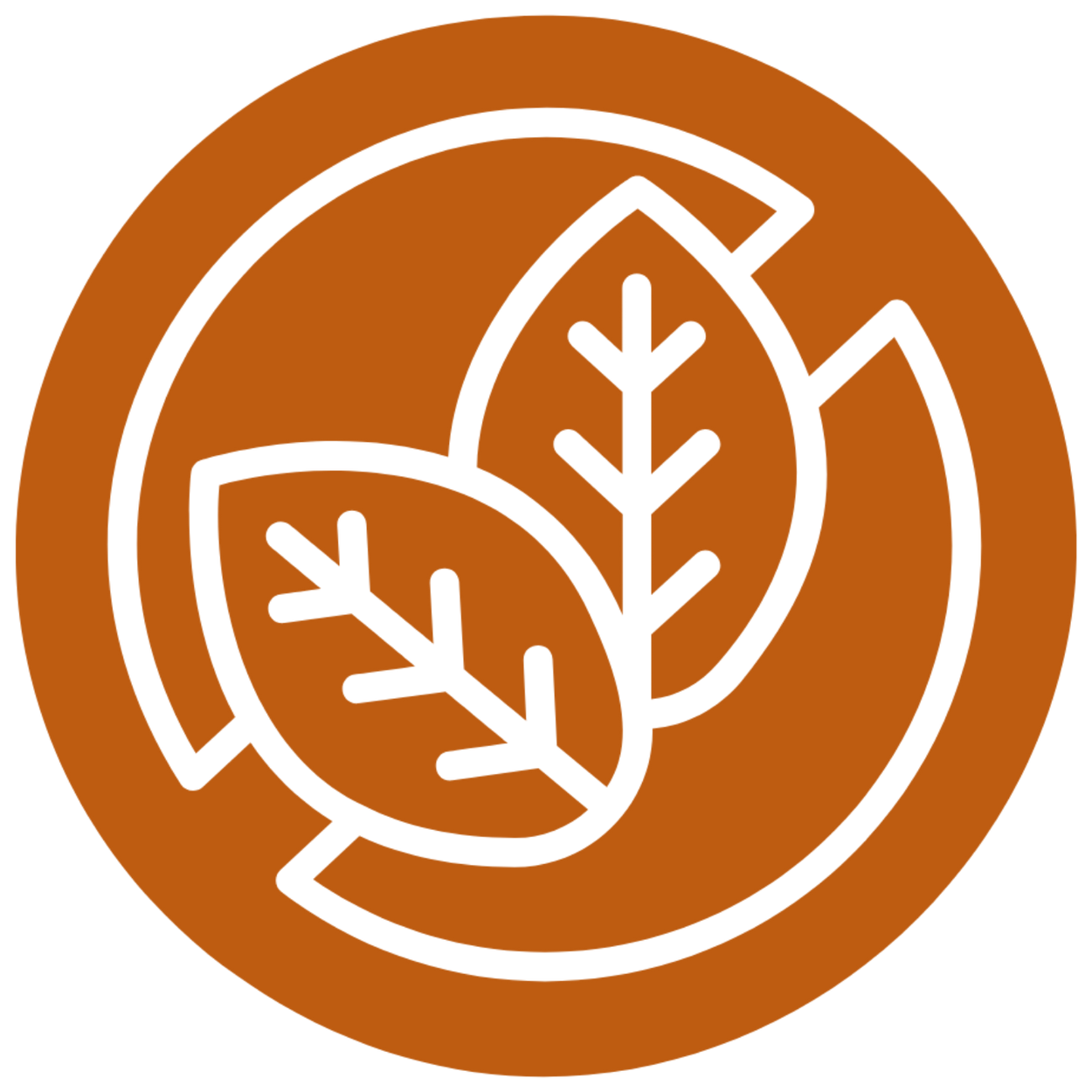 Daigle Grind Coffee Co.